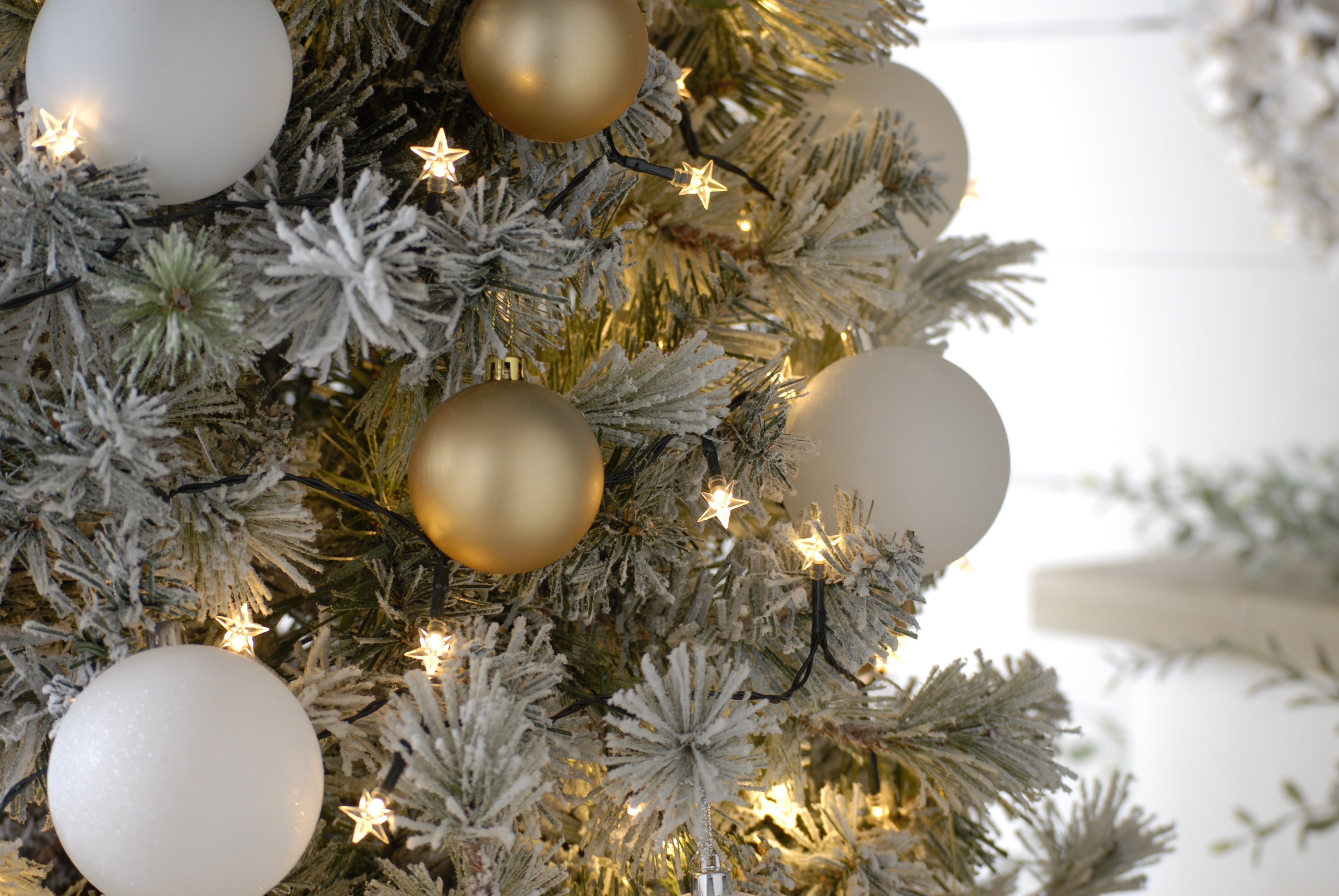 100 Warm White Star LED Battery Lights | Pines and Needles