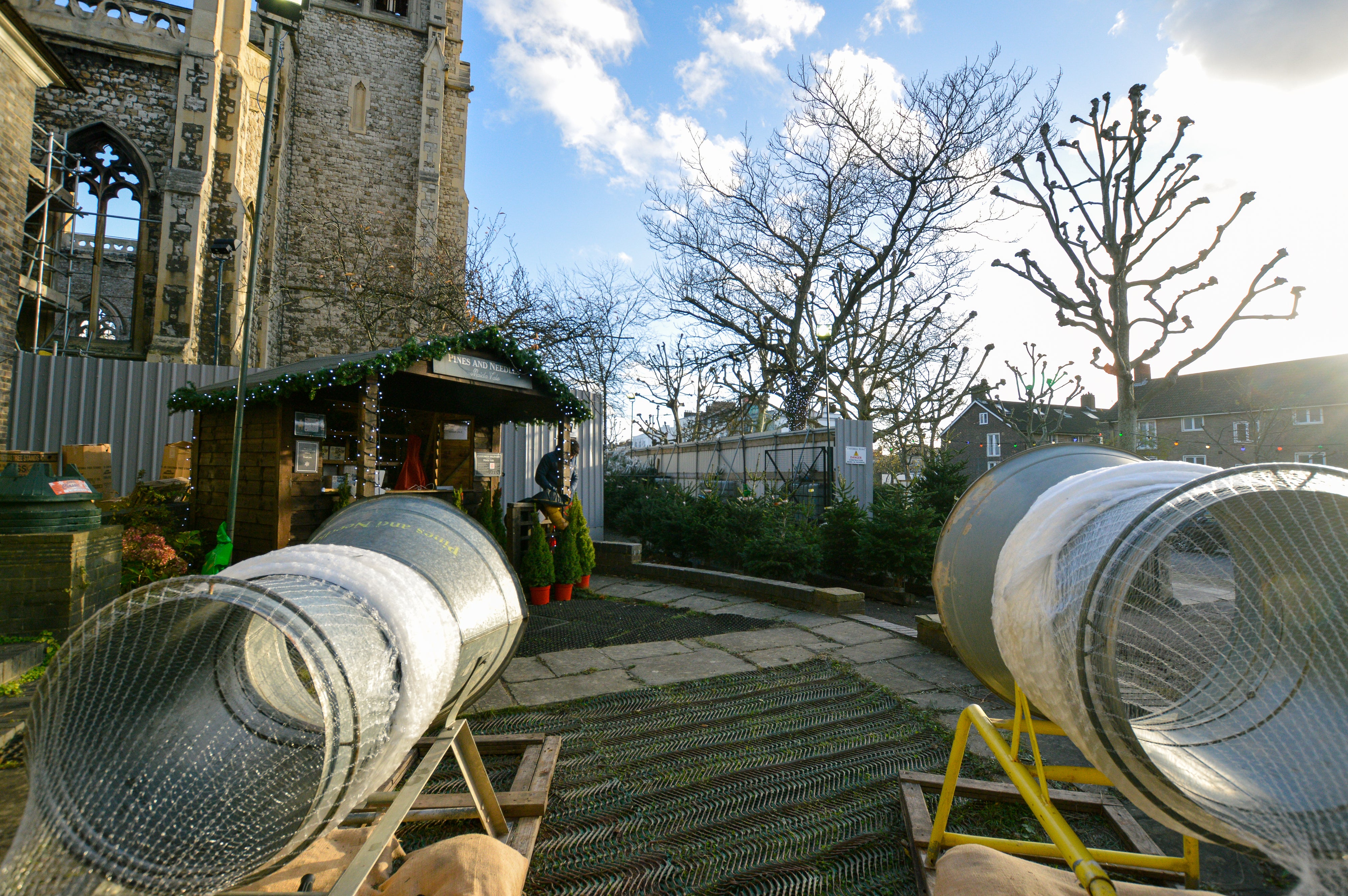 Real Christmas Trees in Maida Vale - St Mark's - | Pines and Needles