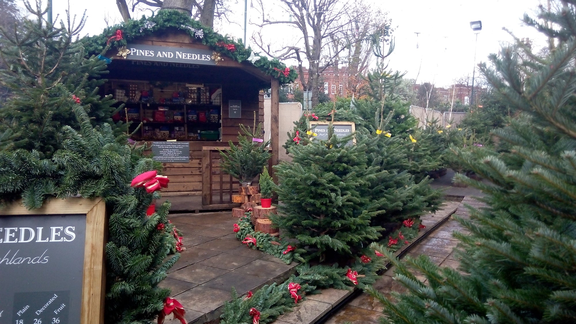 Real Christmas Tree Stores in London | Pines and Needles