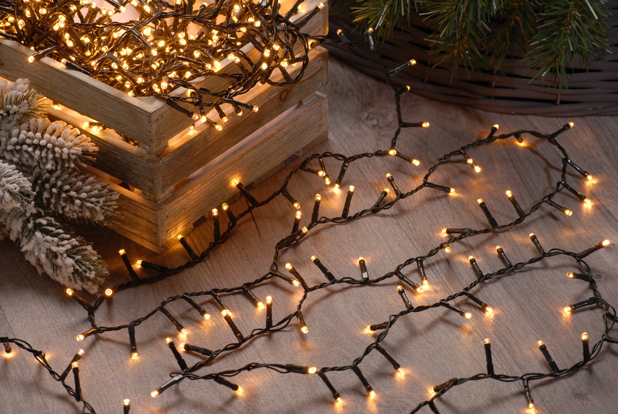 Firefly Lights | Pines and Needles