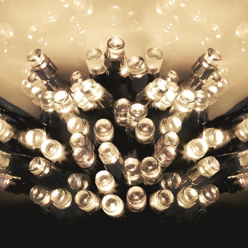 Buy 600 Warm White LED String Lights | Pines & Needles — Pines and Needles