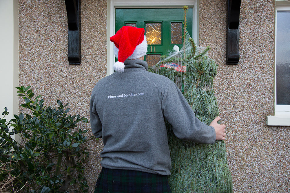 Festive Decorated Christmas Tree | Pines and Needles