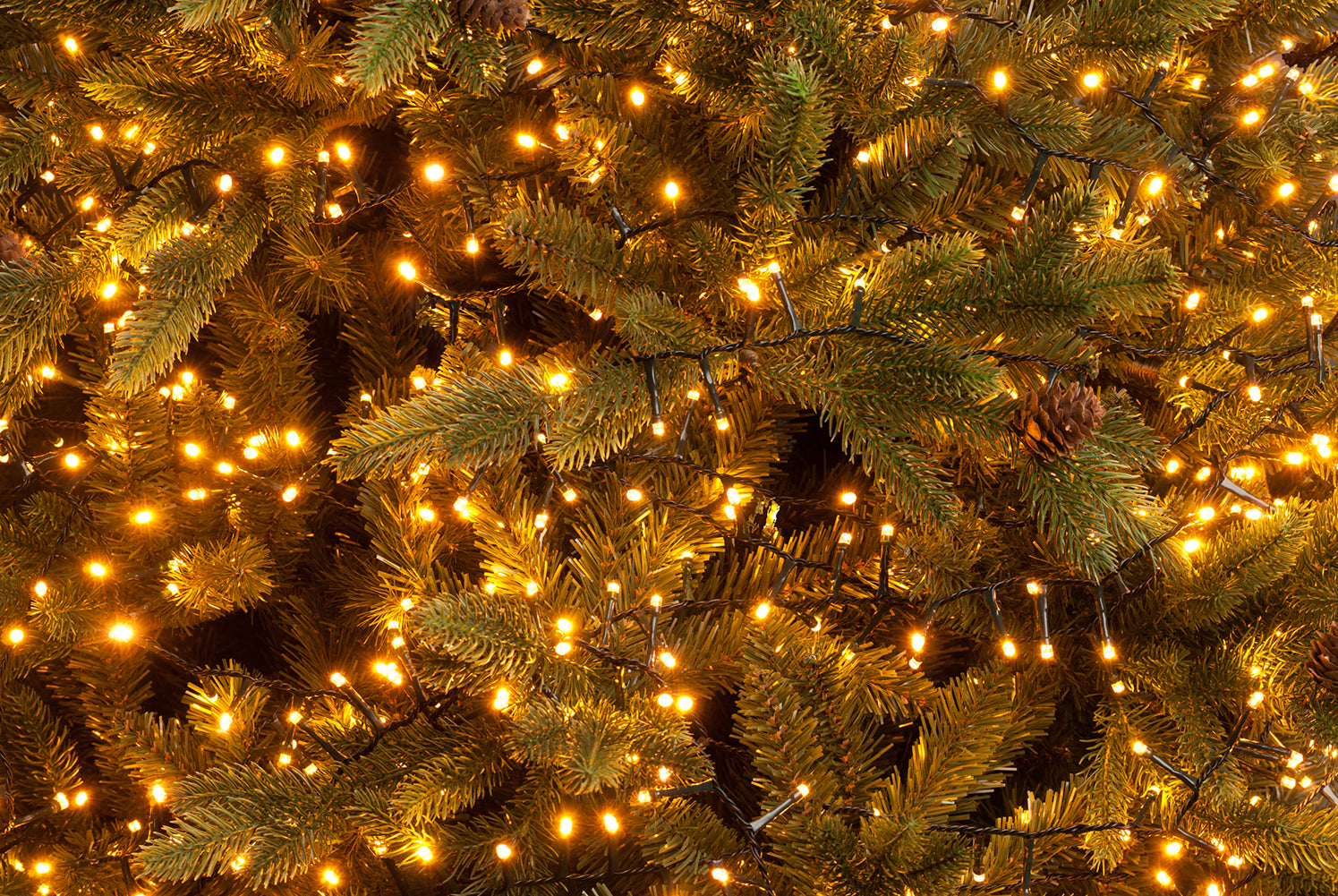 1000 Firefly Warm White Christmas Tree Lights | Pines and Needles